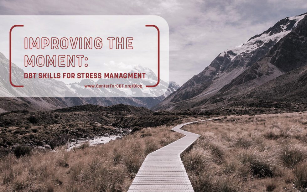 Improving The Moment Dbt Skills For Stress Management Expert Cbt